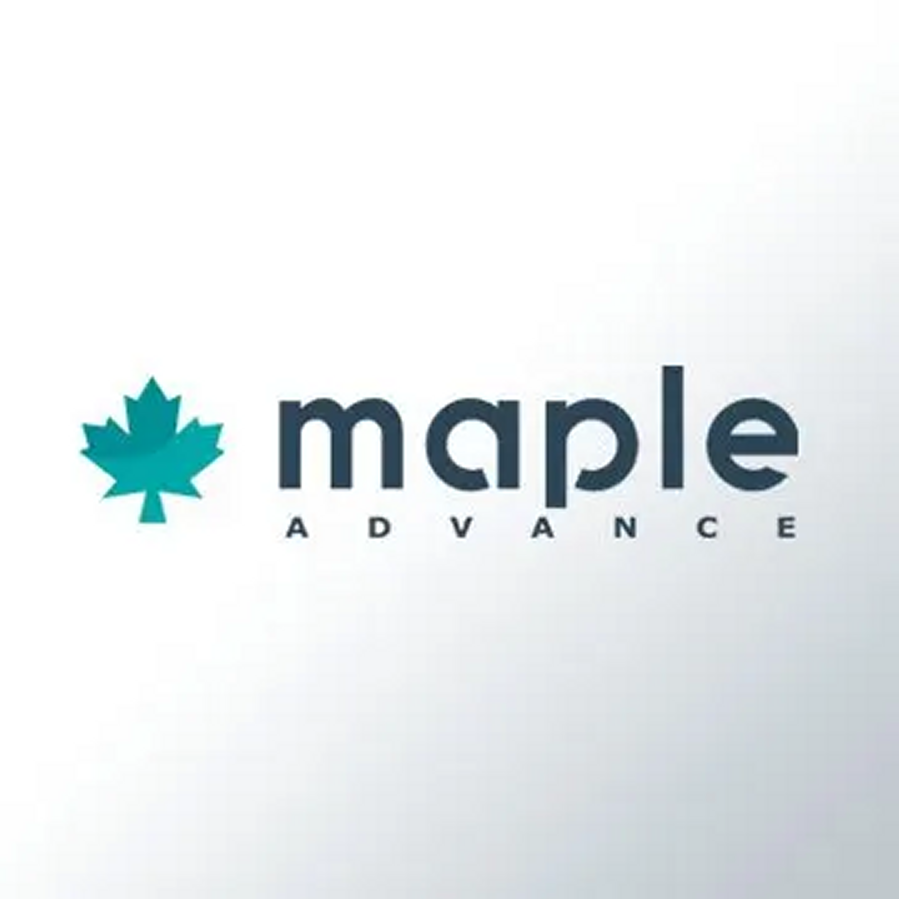 "CapitalVista: Gateway to Financial Excellence" - Red Orange Technologies